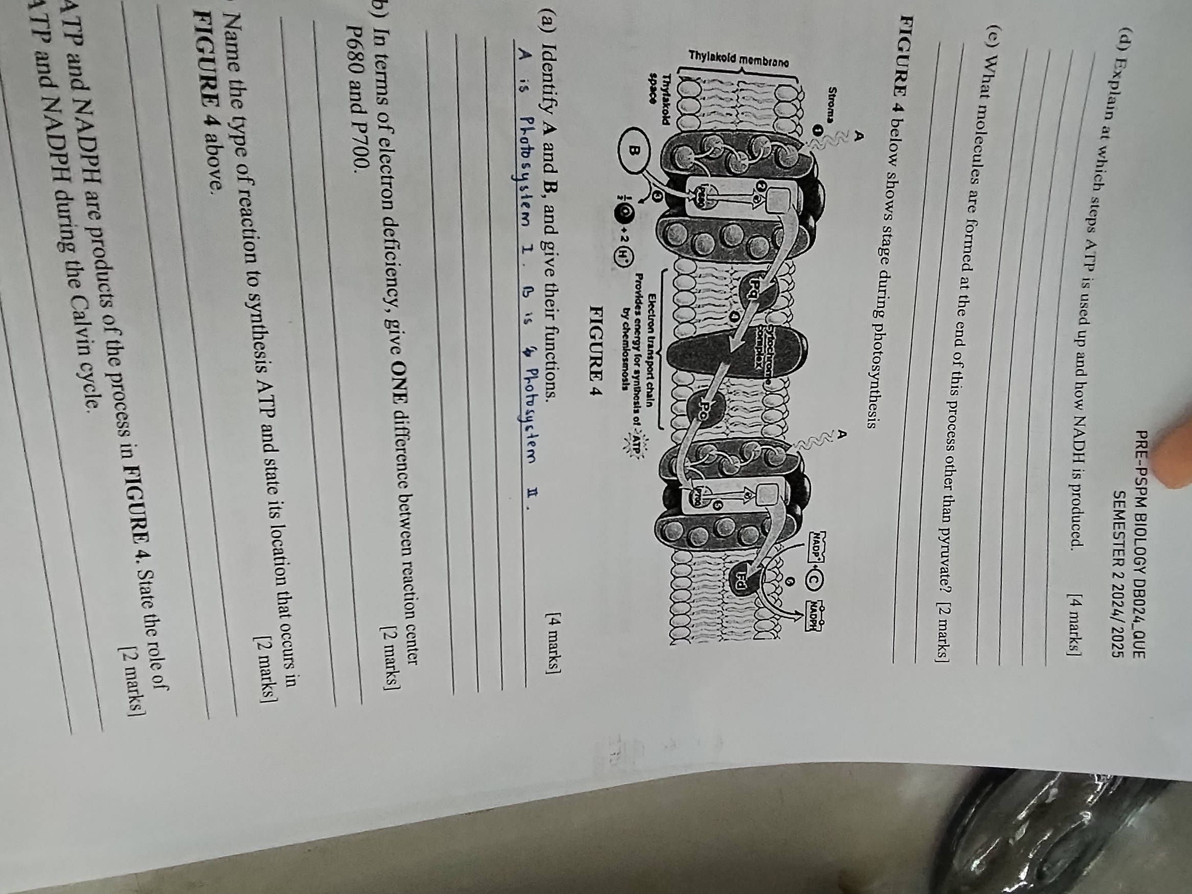 (a) Identify A and B, and give their | StudyX