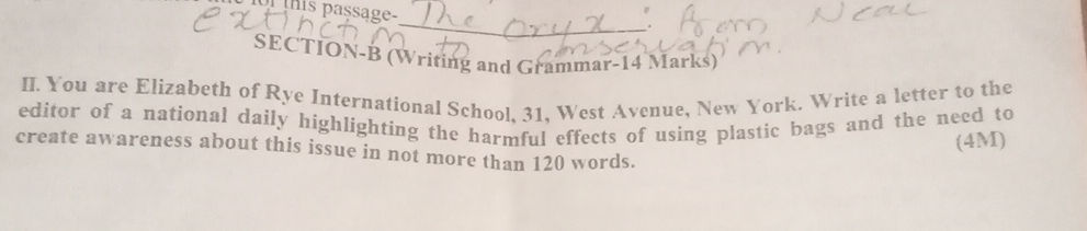 II. You are Elizabeth of Rye International | StudyX