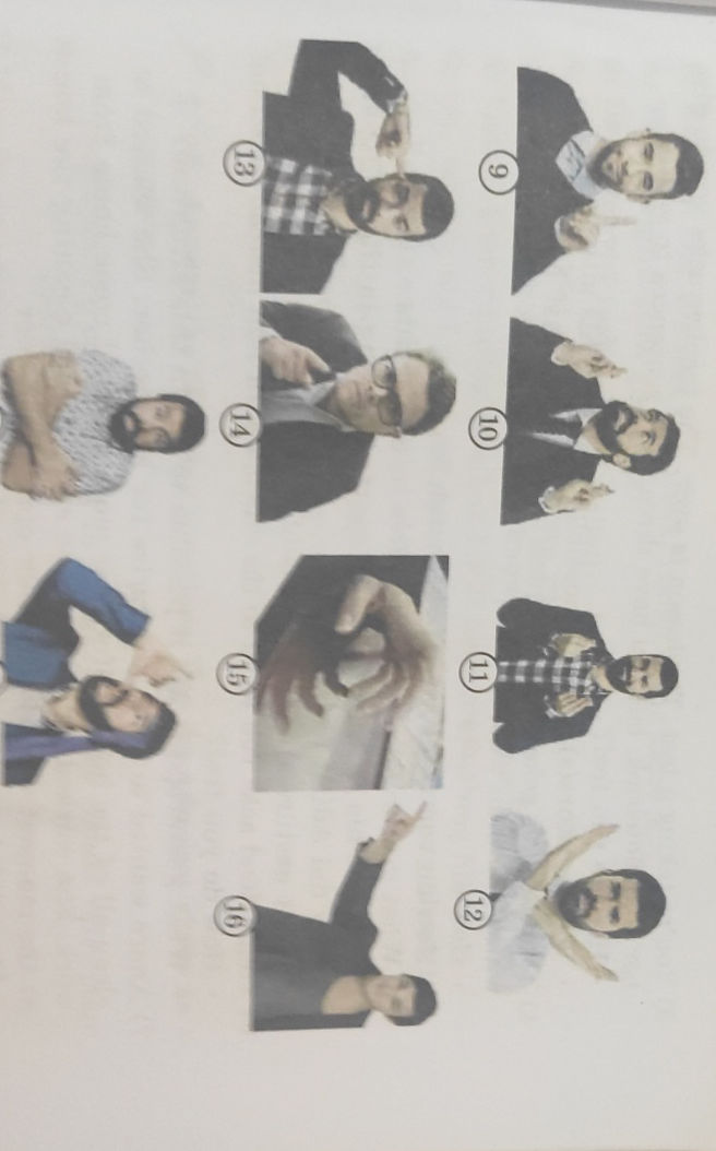 The image contains a series of pictures of | StudyX