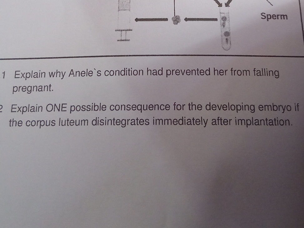 1 Explain why Anele's condition had | StudyX