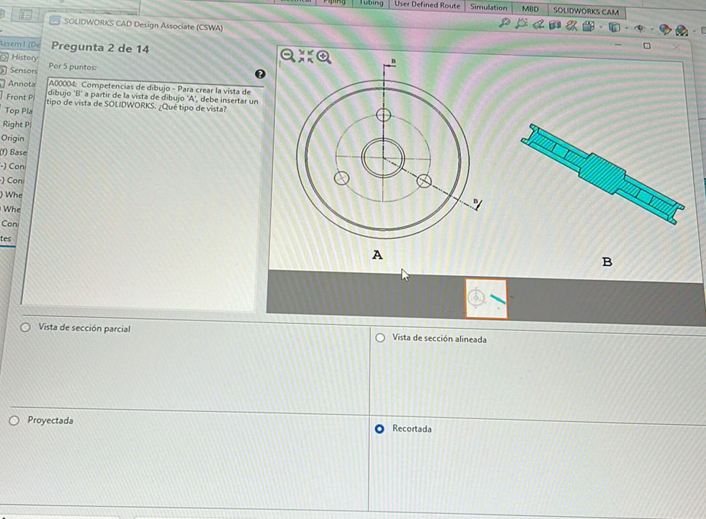 A00004: Competencias de dibujo - Para crear | StudyX