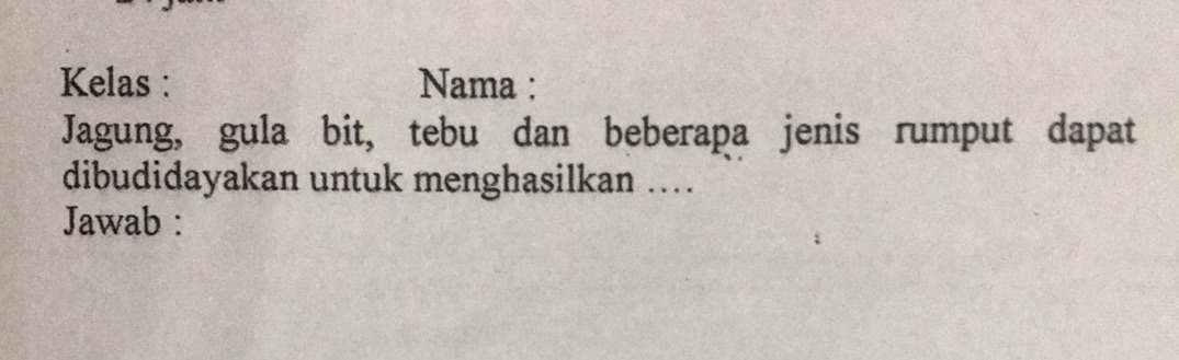 Jagung, gula bit, tebu dan beberapa jenis | StudyX