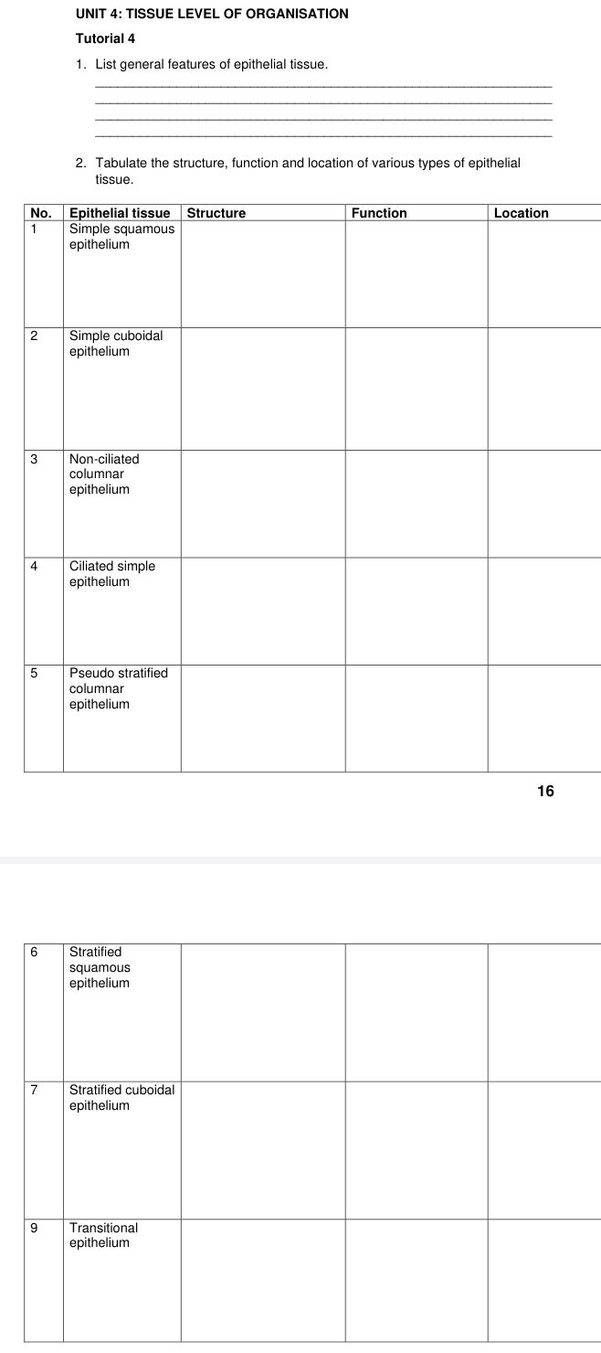 1. List general features of epithelial | StudyX