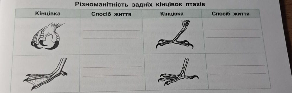 The image presents a table about the | StudyX