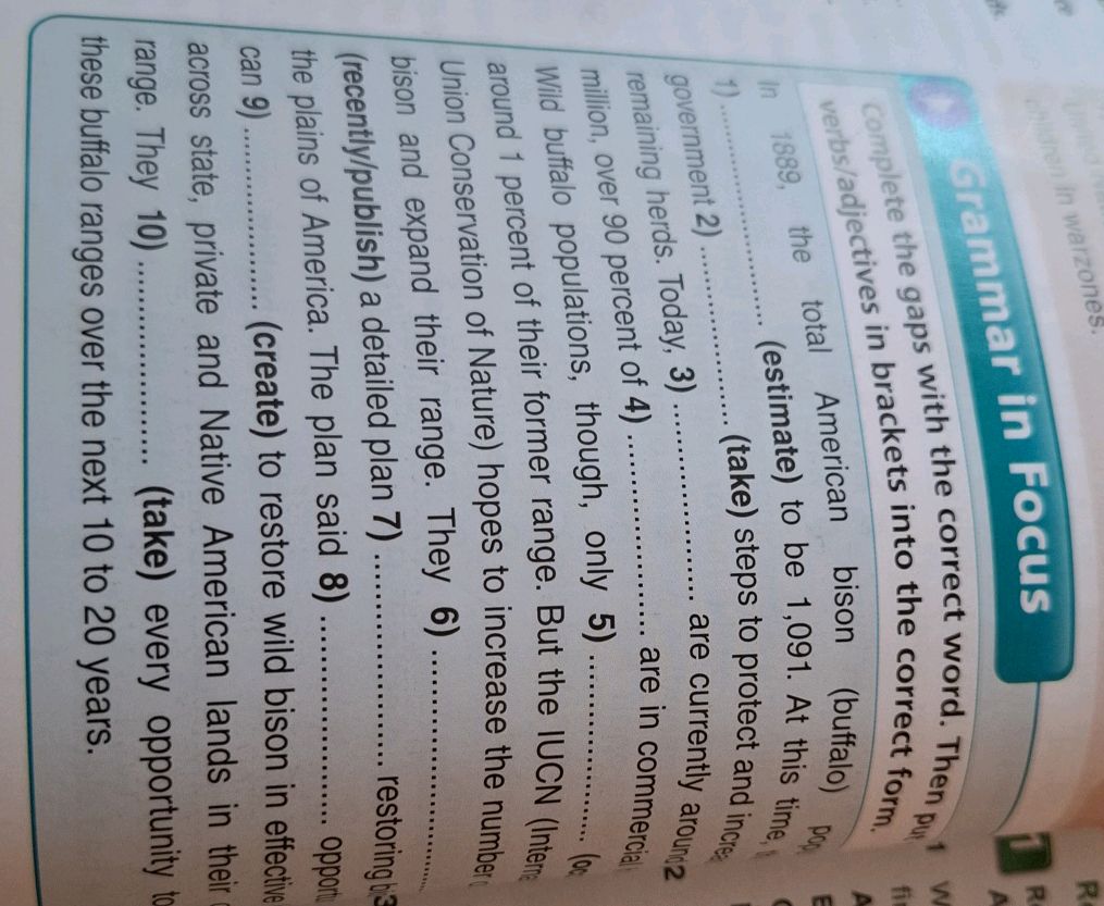 Complete the gaps with the correct word. | StudyX