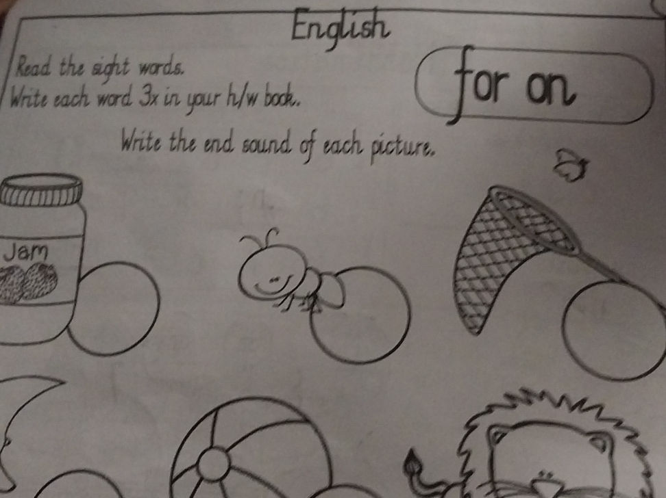 Read the sight words. Write each word 3x in | StudyX