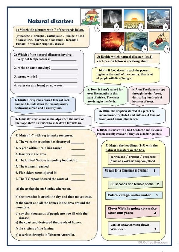 1) Match the pictures with 7 of the words | StudyX
