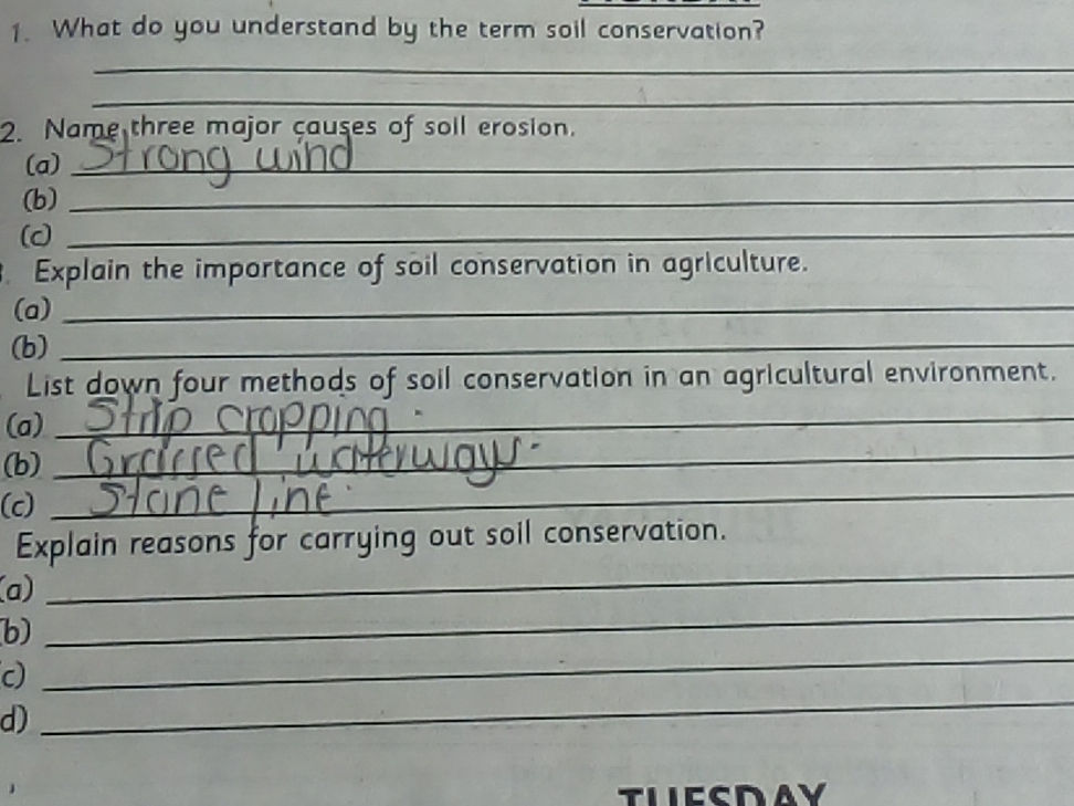 1. What do you understand by the term soil | StudyX