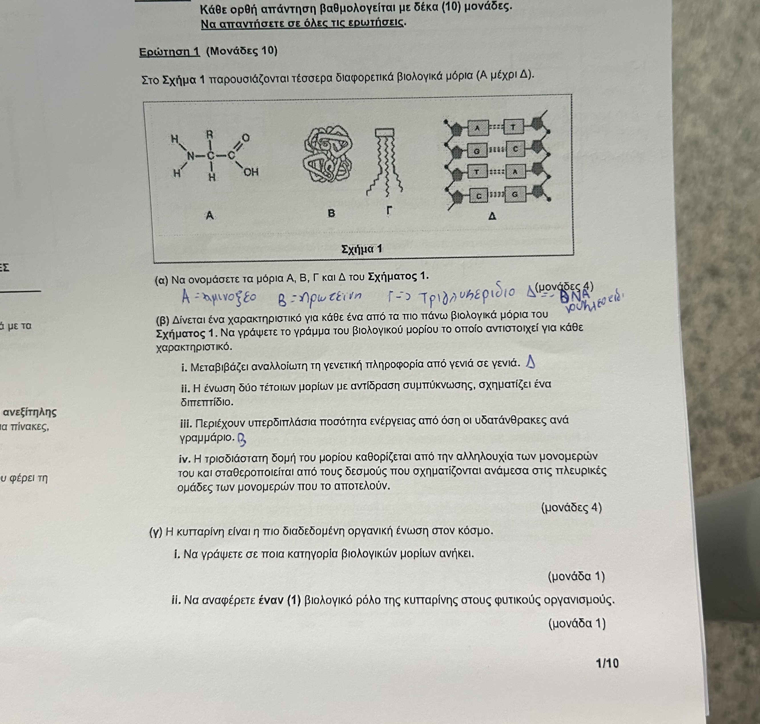 (α) Να ονομάσετε τα μόρια Α, Β, Γ και Δ του | StudyX