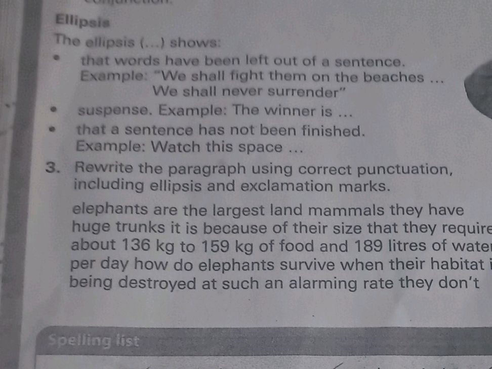 3. Rewrite the paragraph using correct | StudyX