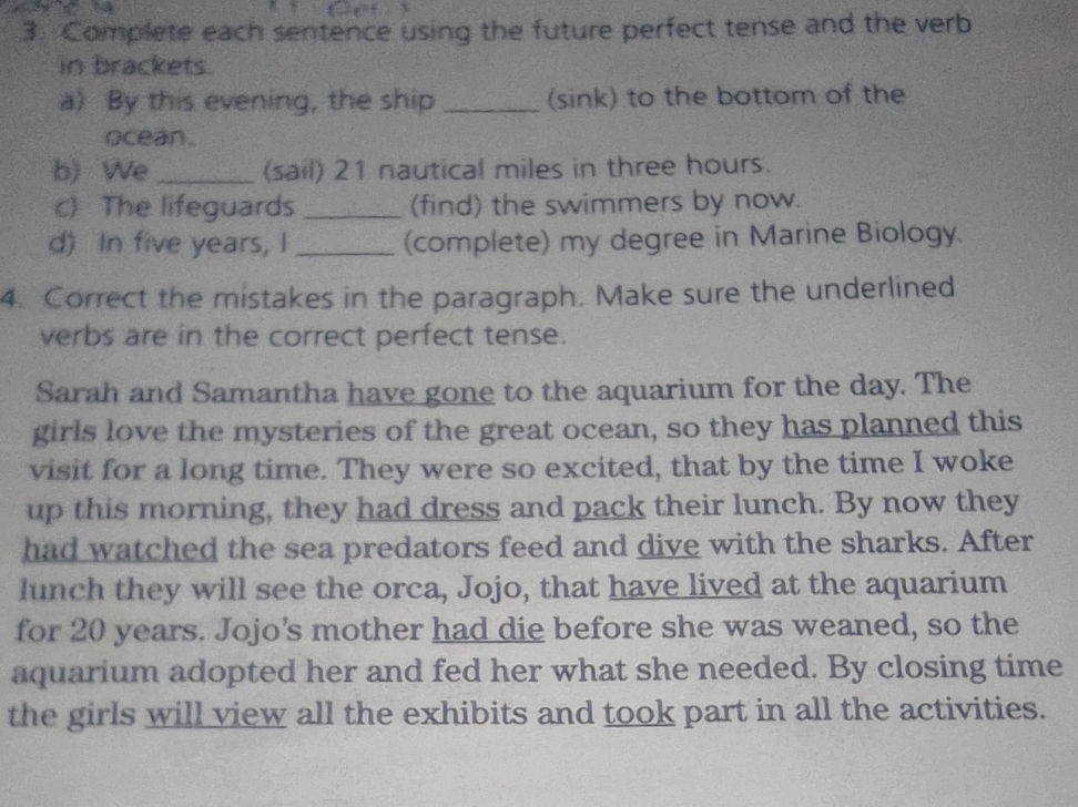 3. Complete each sentence using the future | StudyX