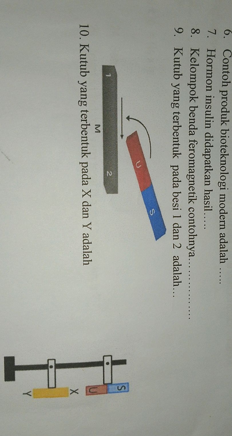 Kutub yang terbentuk pada X dan Y adalah | StudyX