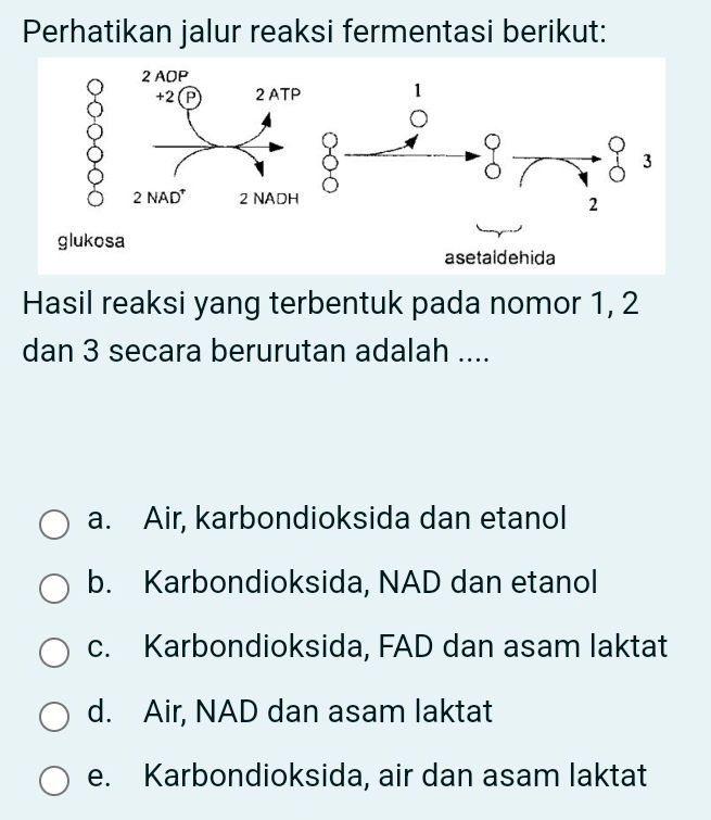 Perhatikan jalur reaksi fermentasi berikut: | StudyX