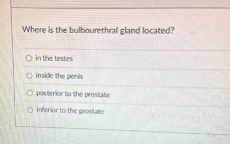 Where is the bulbourethral gland located? O | StudyX