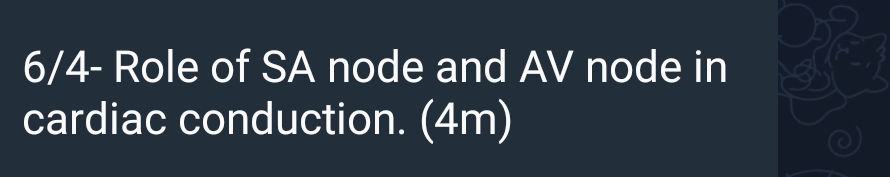 6/4- Role of SA node and AV node in cardiac | StudyX