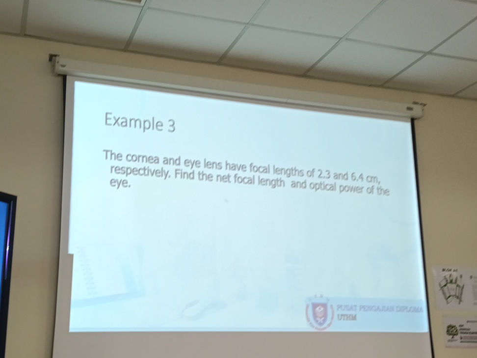 Example 3 The cornea and eye lens have | StudyX