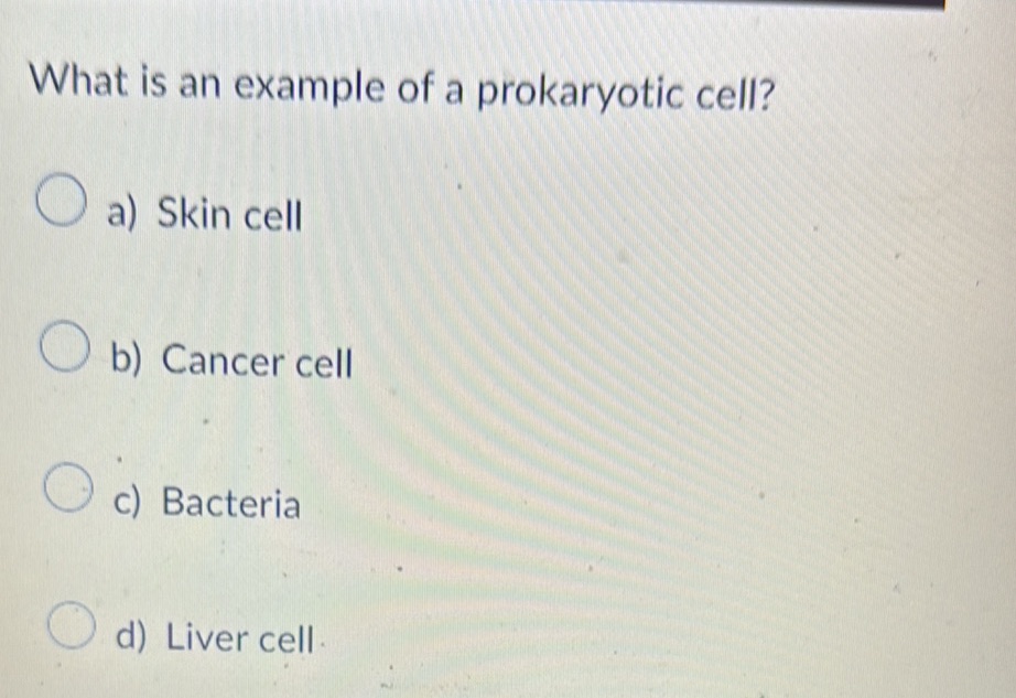 What is an example of a prokaryotic cell? | StudyX