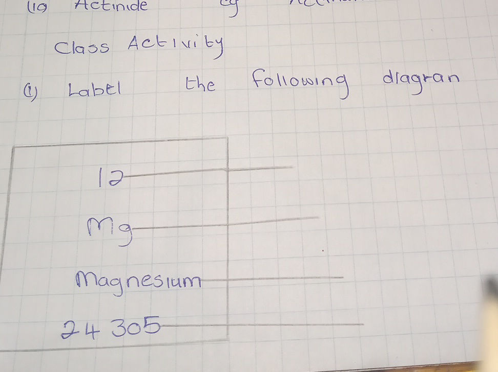 (1) Label the following diagram 12 Mg | StudyX