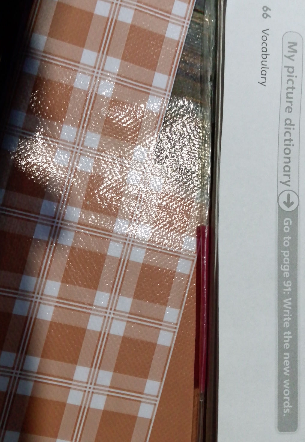 My picture dictionary Go to page 91: Write | StudyX