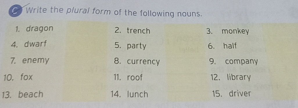 Write the plural form of the following | StudyX