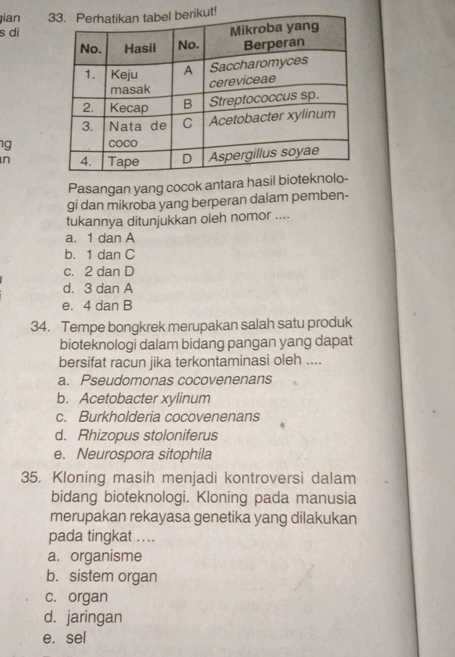 33. Perhatikan tabel berikut! | No. | Hasil | StudyX
