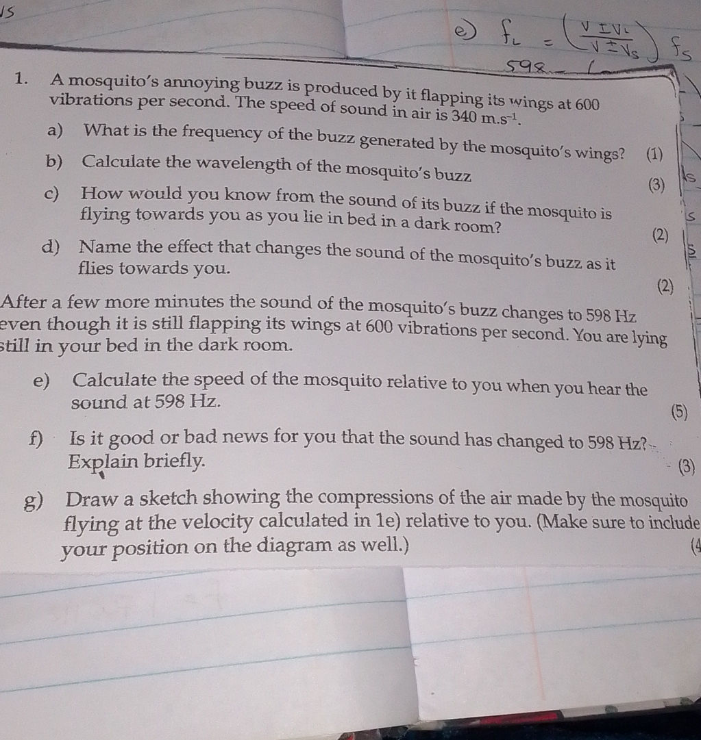 1. A mosquito's annoying buzz is produced by | StudyX