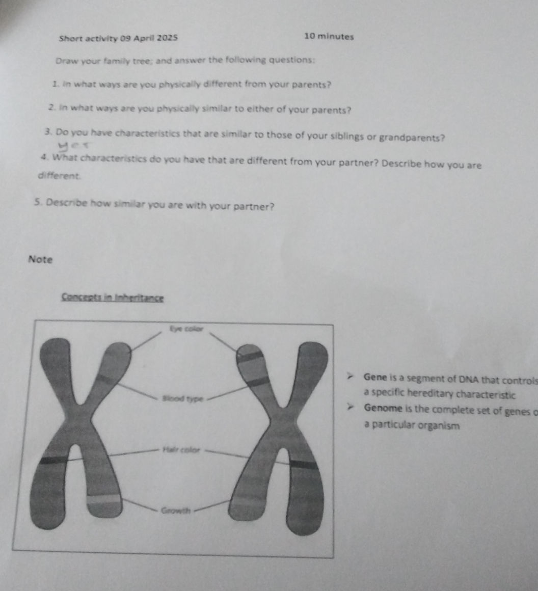 Draw your family tree; and answer the | StudyX
