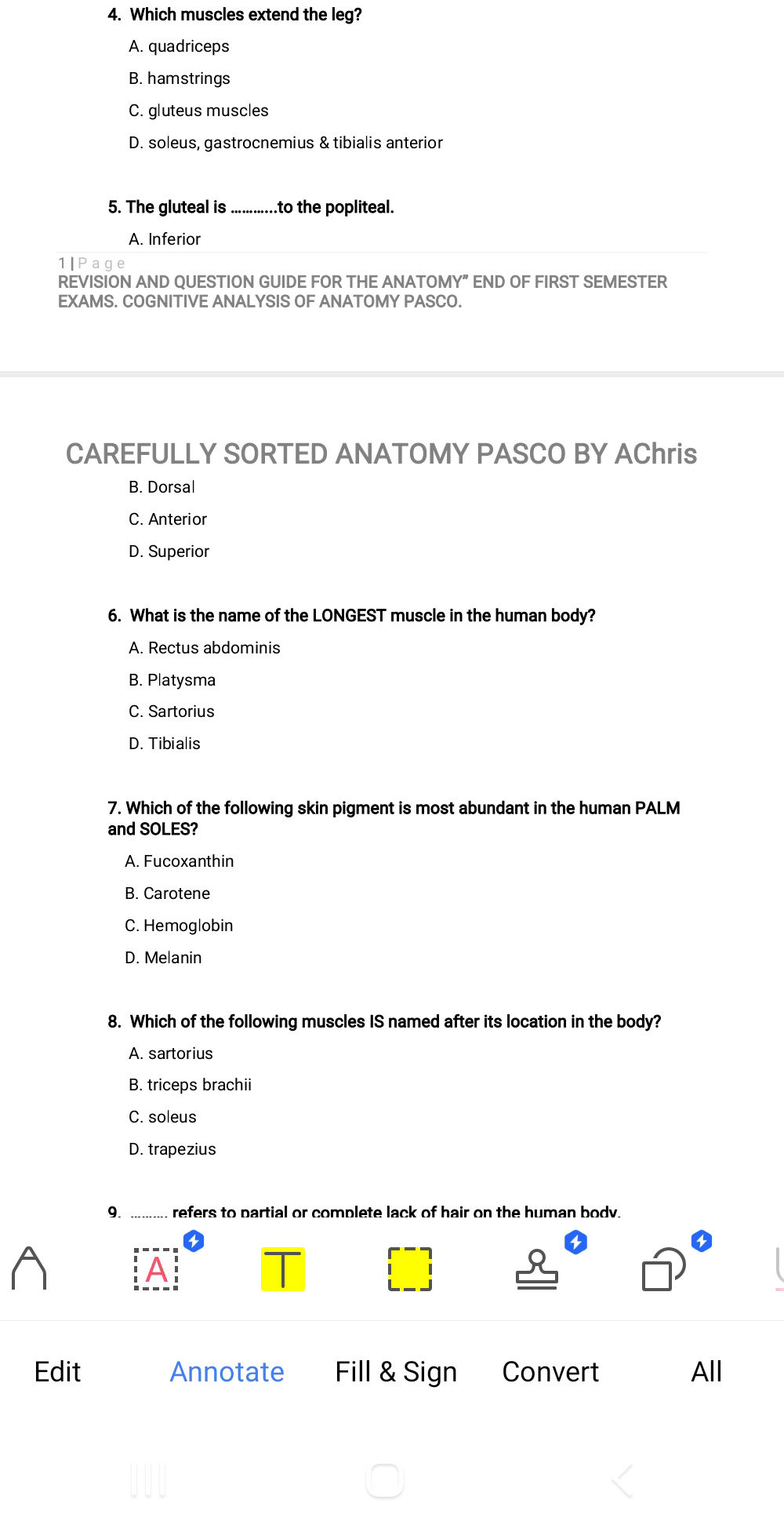 4. Which muscles extend the leg? A. | StudyX