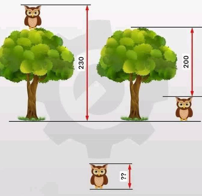 The image shows two trees with owls on them. | StudyX