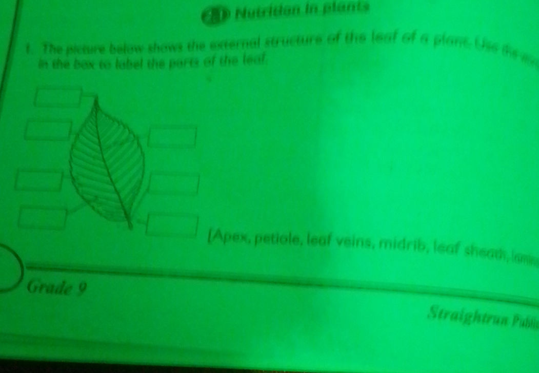 1. The picture below shows the external | StudyX