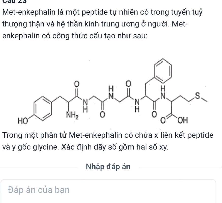 Met-enkephalin là một peptide tự nhiên có | StudyX
