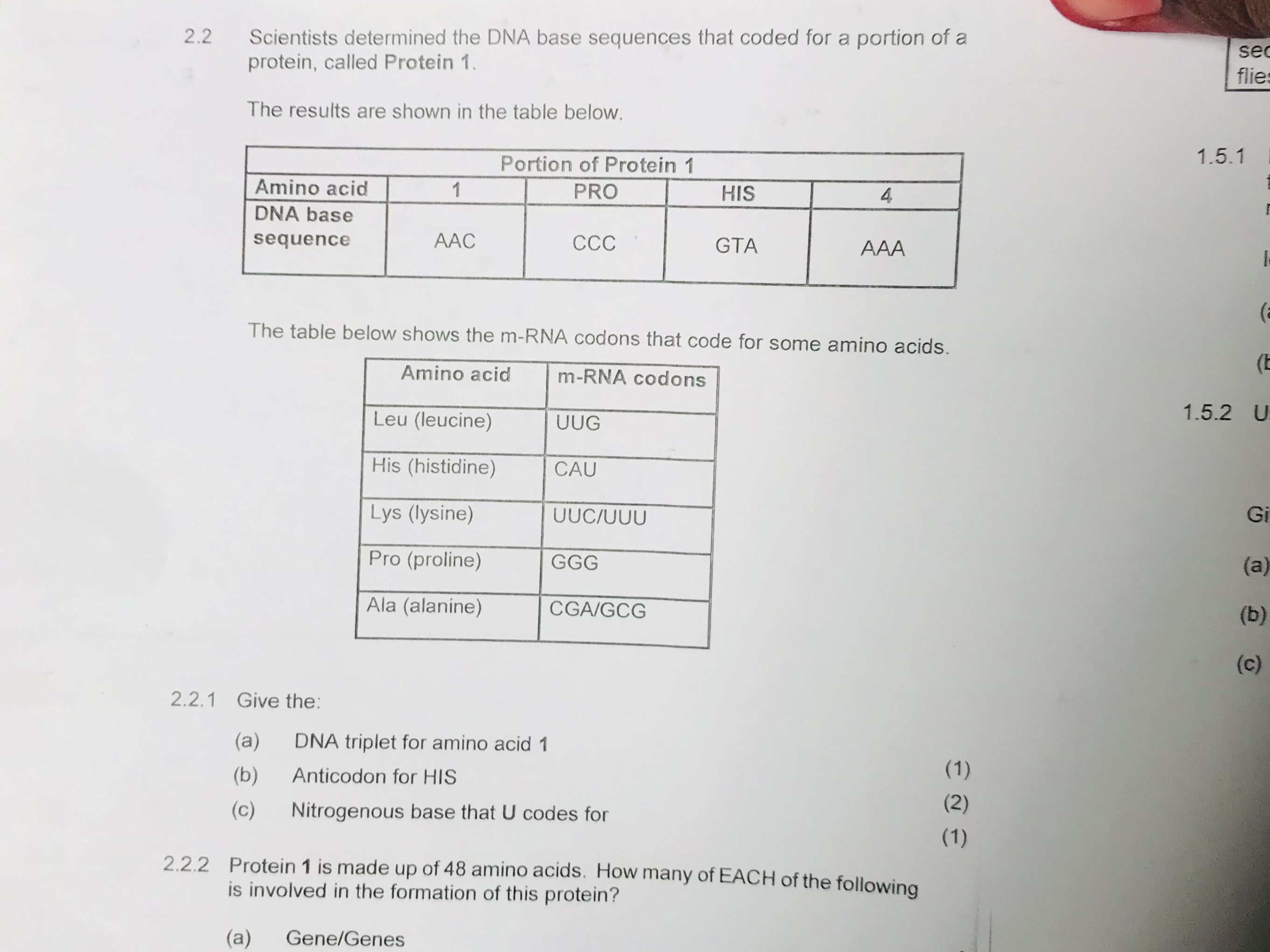 Scientists determined the DNA base sequences | StudyX