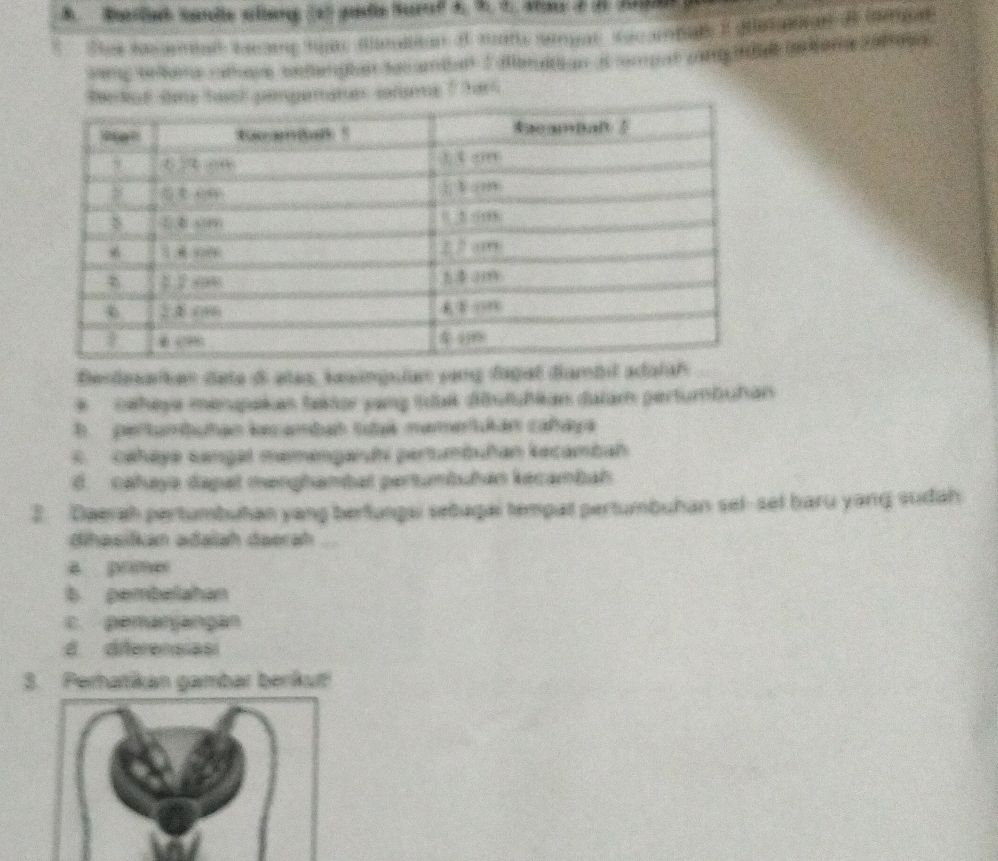 Berdasarkan data di atas, kesimpulan yang | StudyX