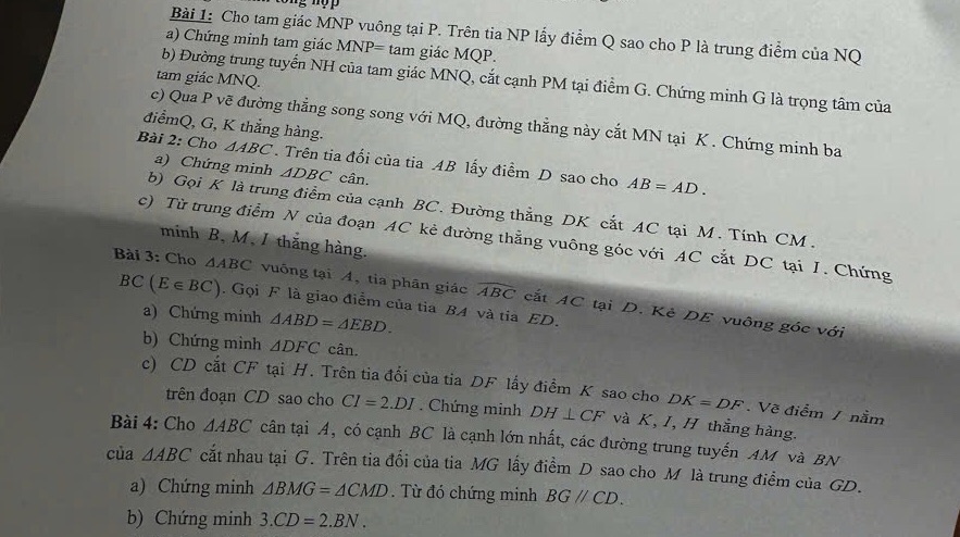 Bài 1: Cho tam giác MNP vuông tại P. Trên | StudyX