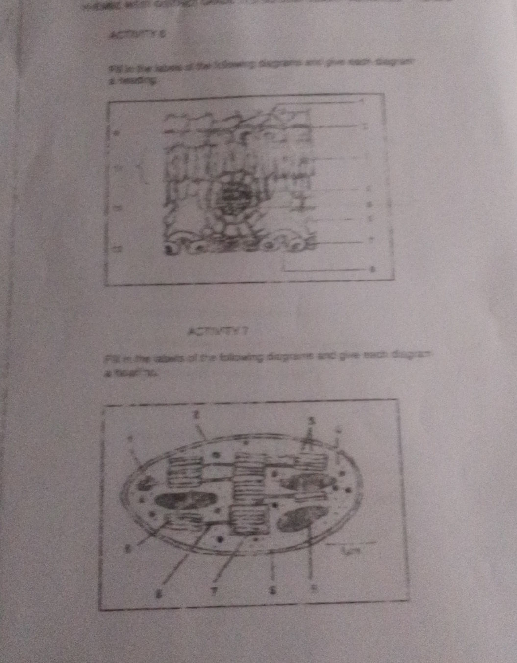 ACTIVITY 6 Fill in the labels of the | StudyX