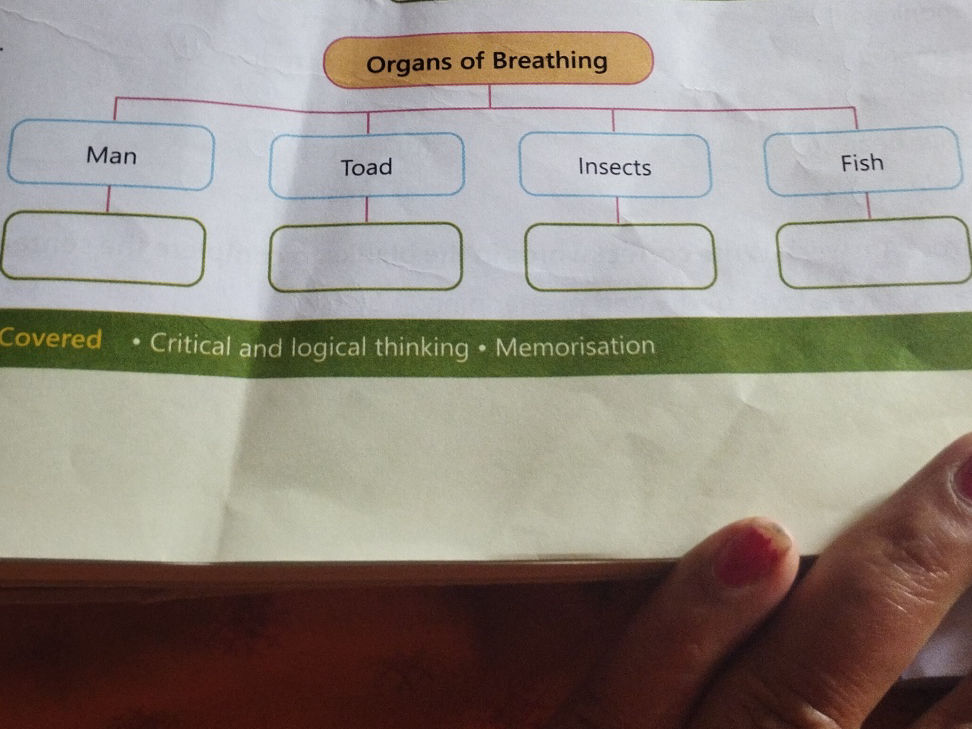 Organs of Breathing Man Toad Insects Fish | StudyX