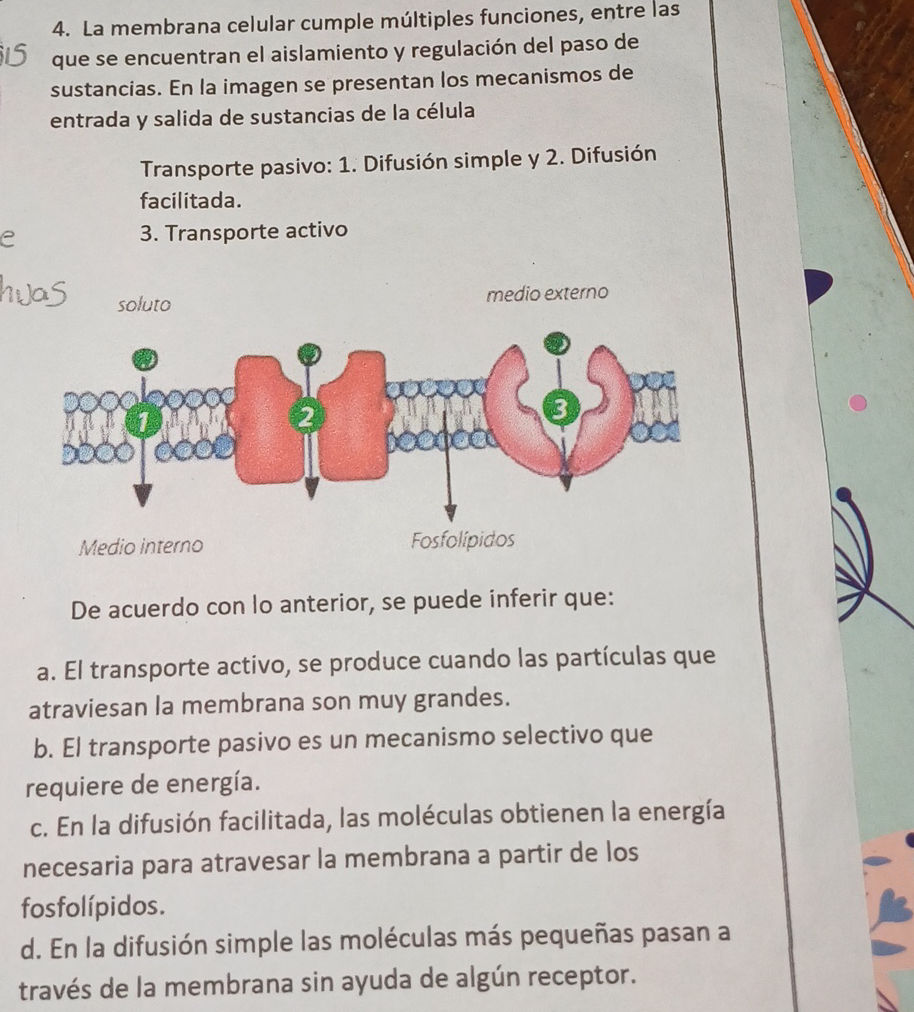 4. La membrana celular cumple múltiples | StudyX