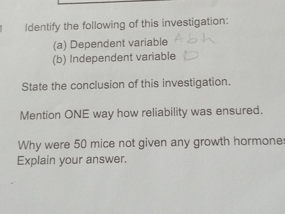 1 Identify the following of this | StudyX