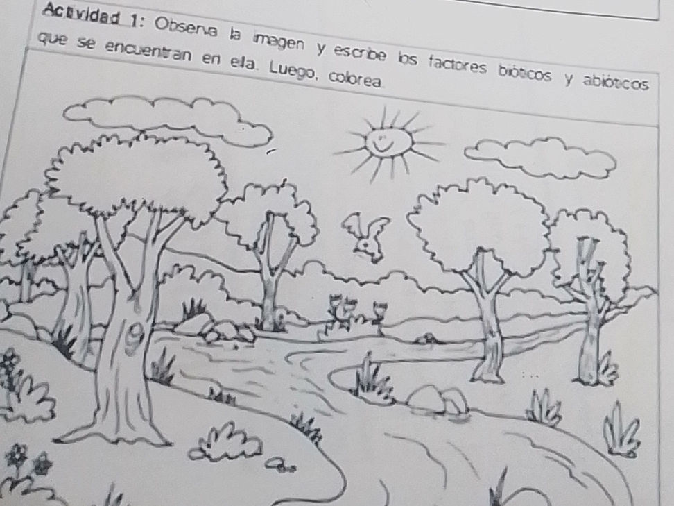 Actividad 1: Observa la imagen y escribe los | StudyX