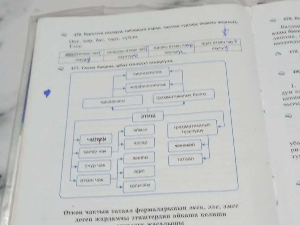 477. Схема боюнча дебат (талкуу) откоргула. | StudyX