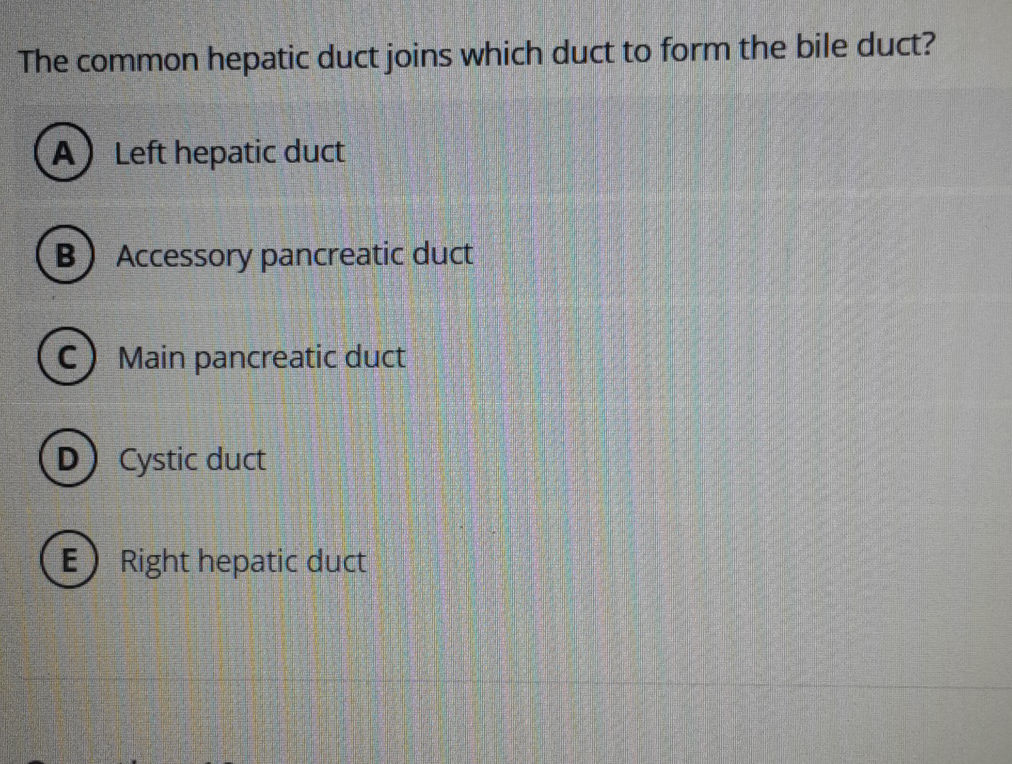 The common hepatic duct joins which duct to | StudyX