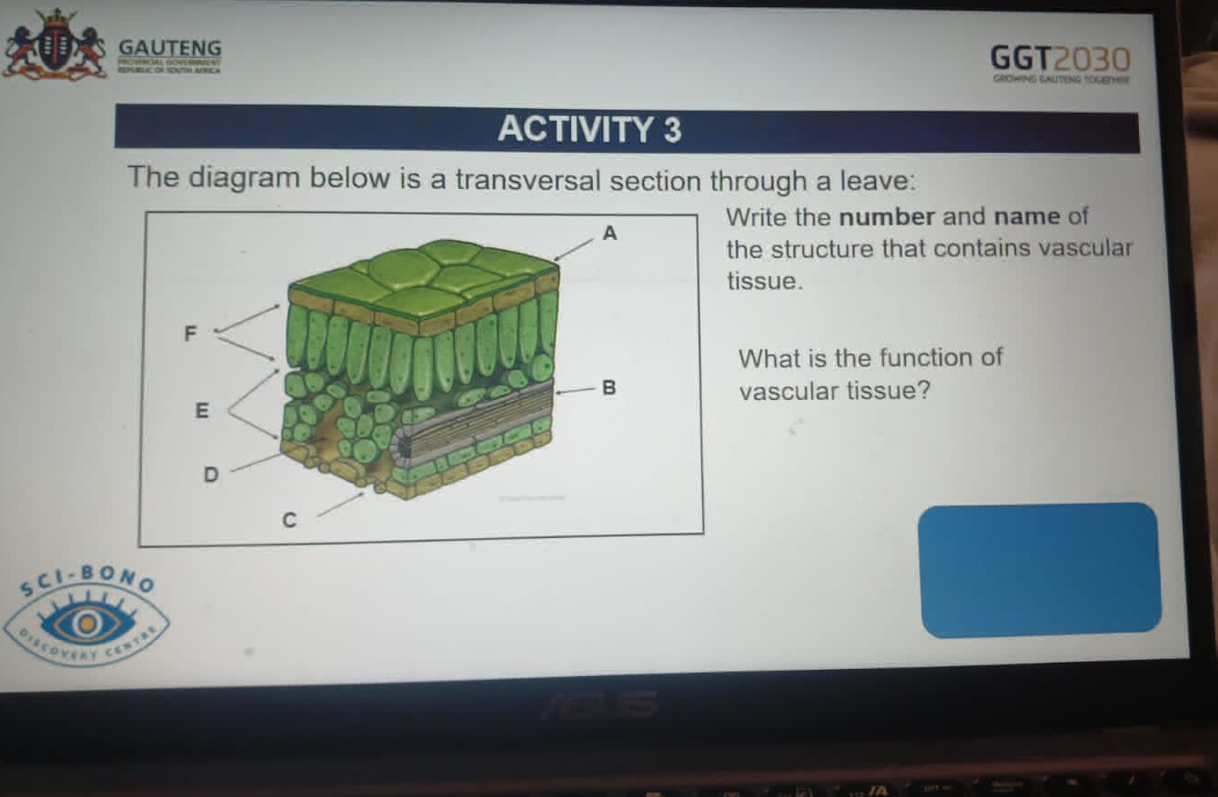 The diagram below is a transversal section | StudyX