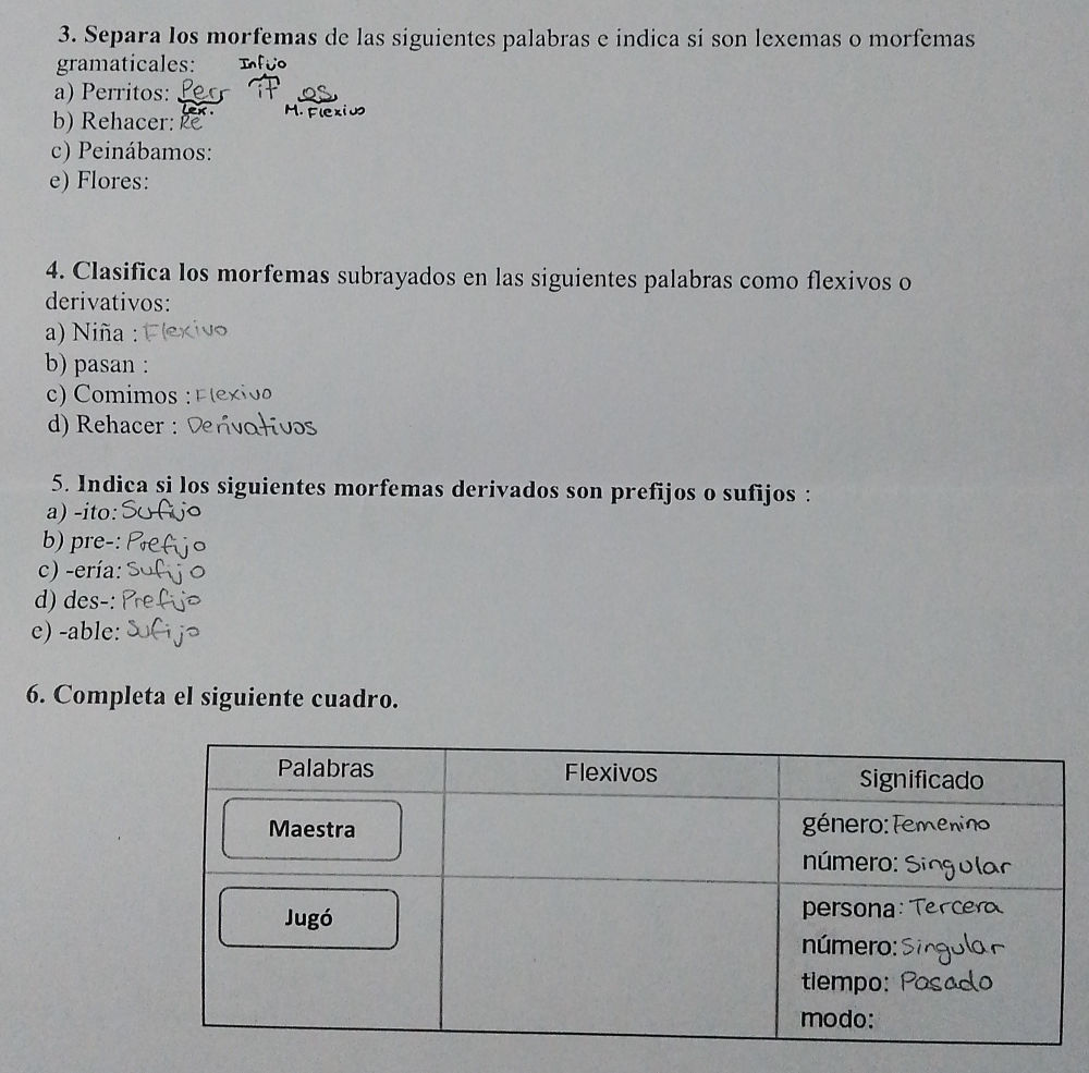 3. Separa los morfemas de las siguientes | StudyX