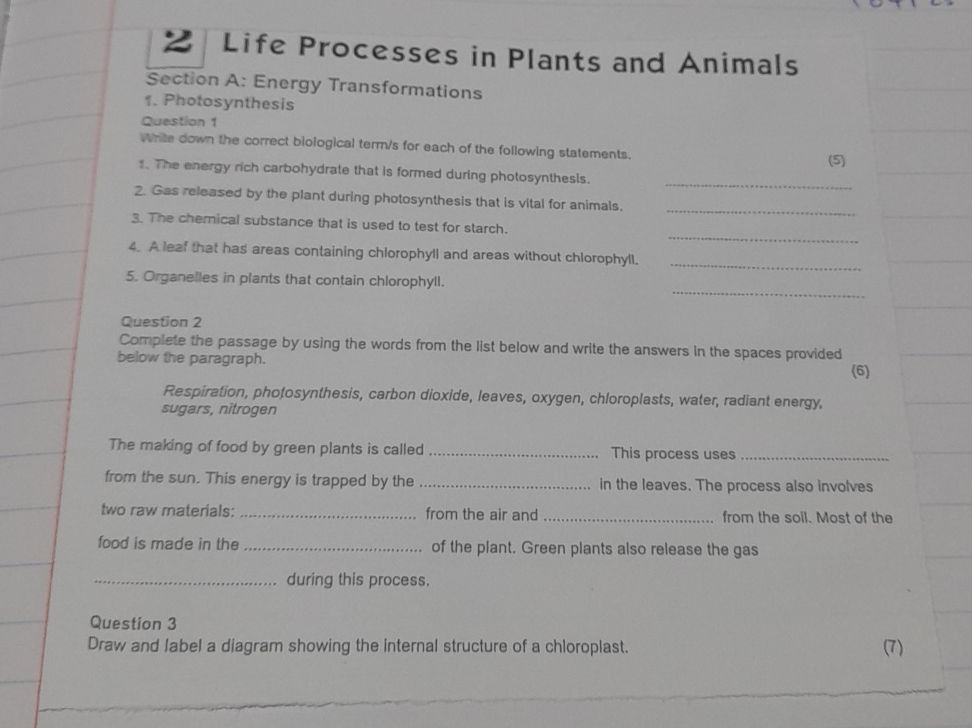 Life Processes in Plants and Animals Section | StudyX