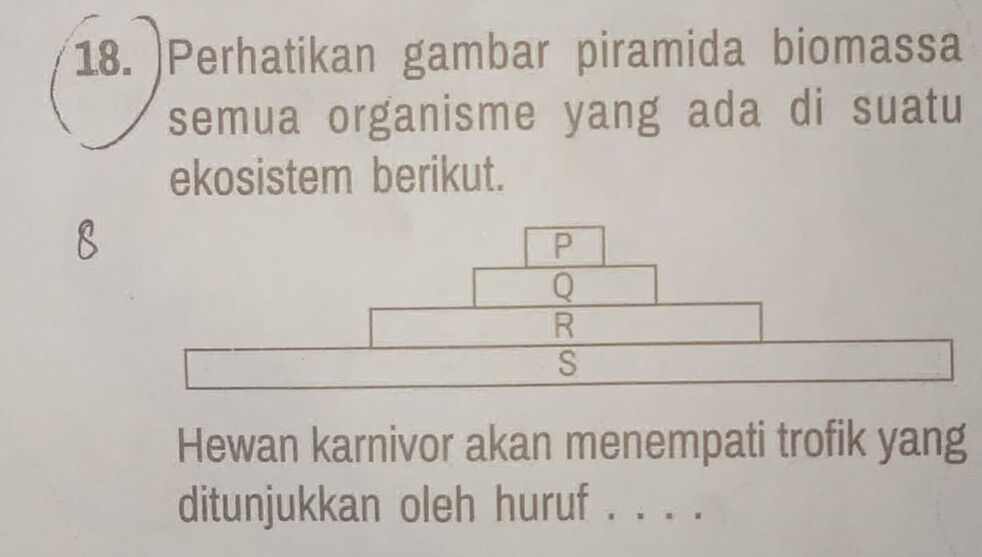 Perhatikan gambar piramida biomassa semua | StudyX