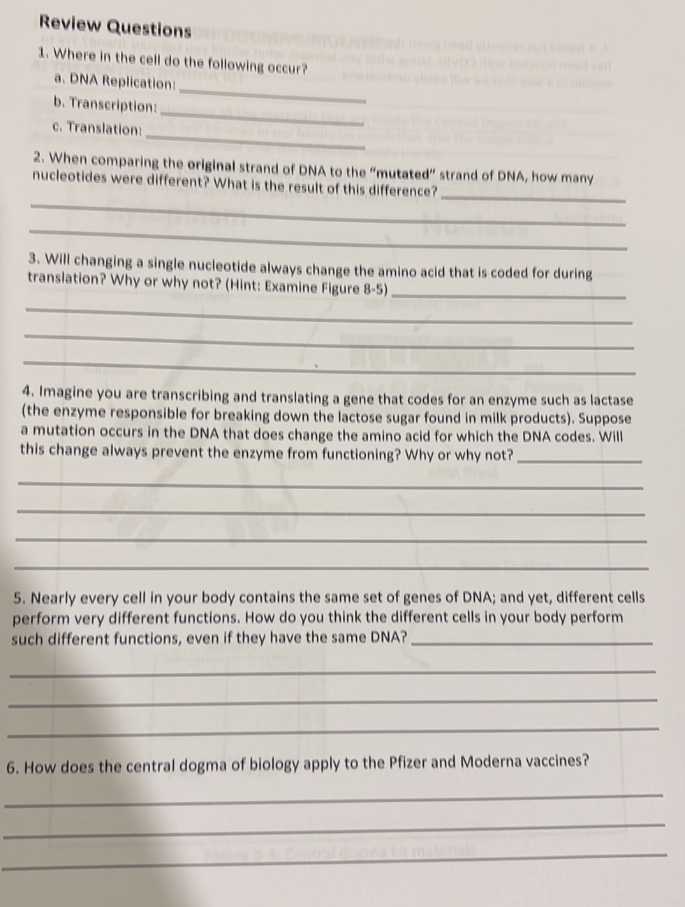 1. Where in the cell do the following occur? | StudyX