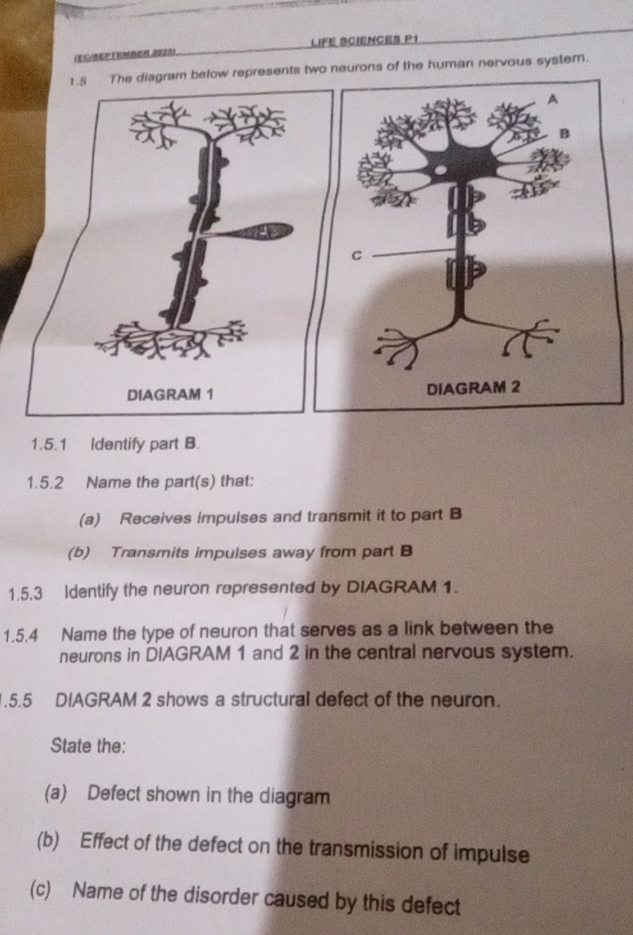 1. 5 The diagram below represents two | StudyX
