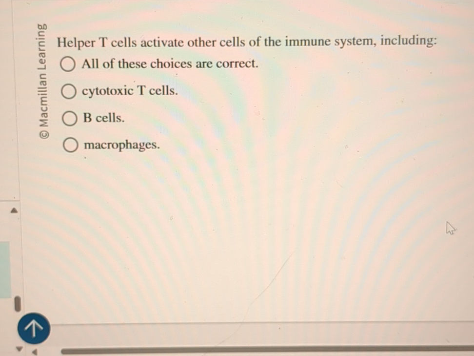 Helper T cells activate other cells of the | StudyX