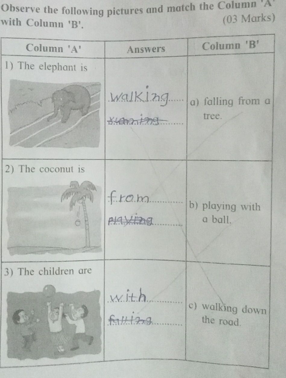 Observe the following pictures and match the | StudyX