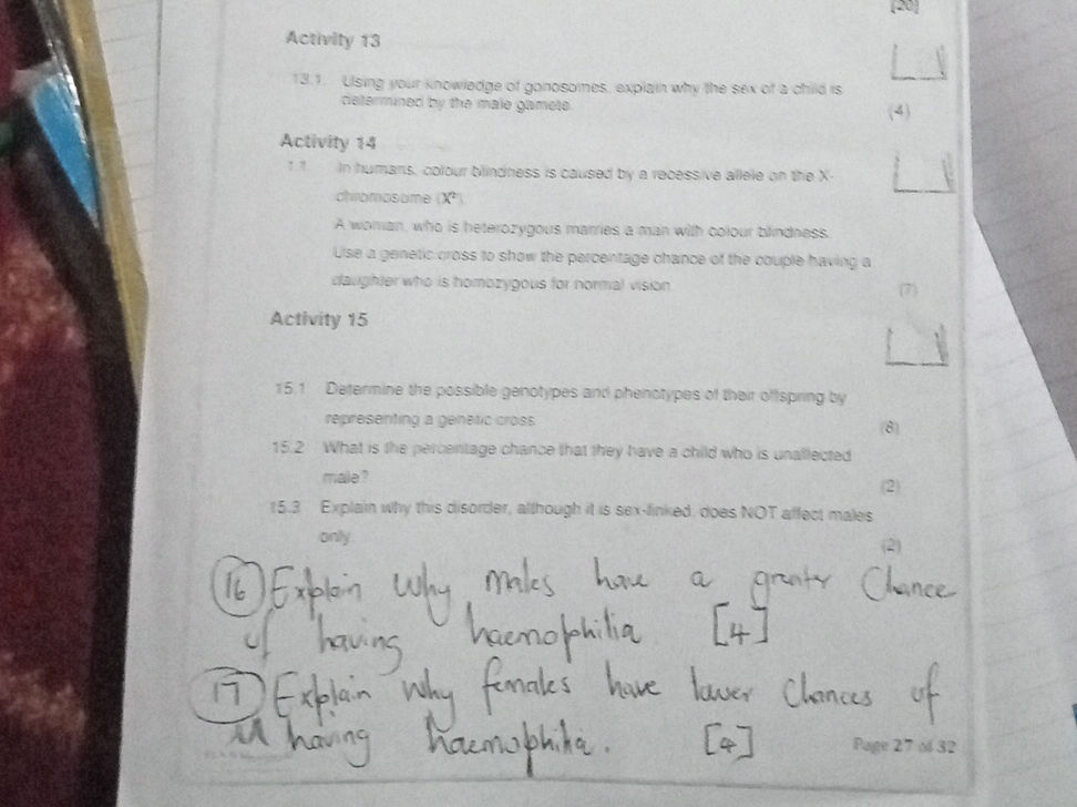 16. Explain why males have a greater chance | StudyX